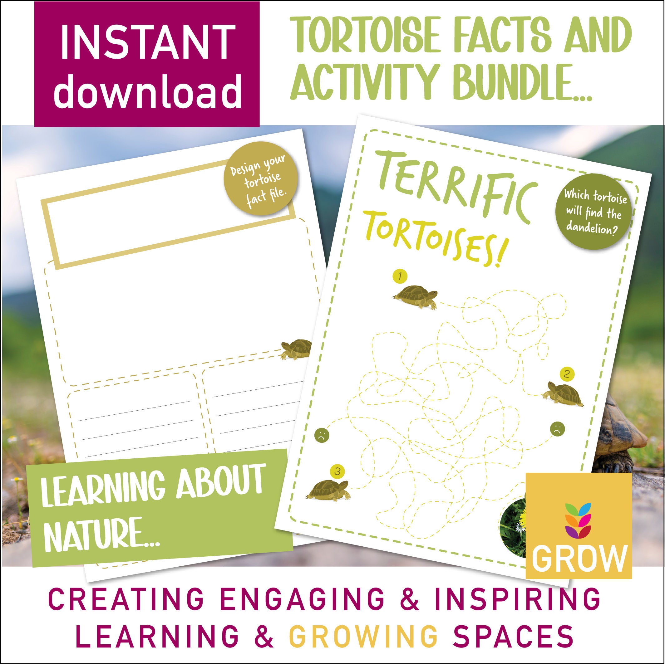 Terrific Tortoises Fact Sheet Activity Pack | Nature Wildlife Learning ...