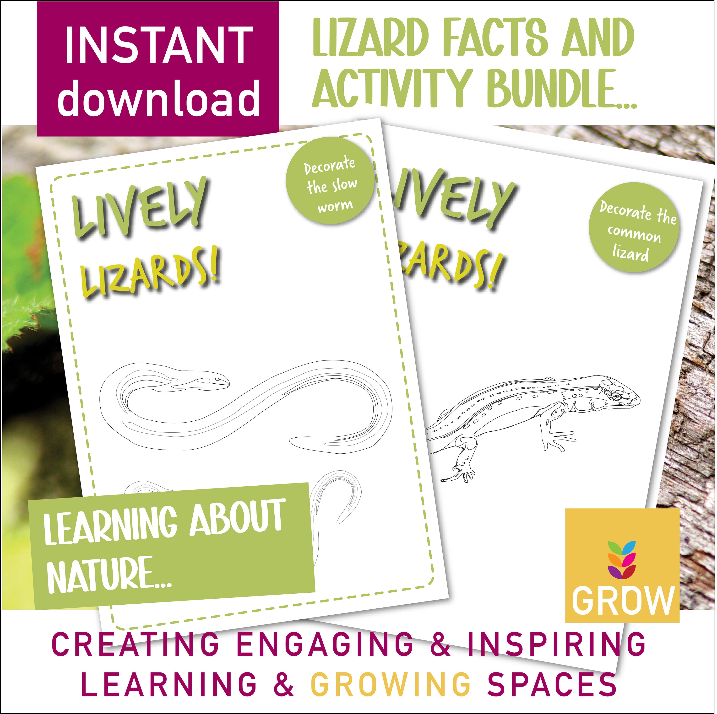 Lively Lizards Fact Sheet Activity Pack | Nature Wildlife Learning ...