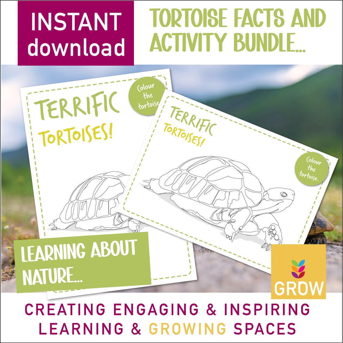 Terrific Tortoises Fact Sheet Activity Pack | Nature Wildlife Learning ...