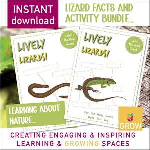 Lively Lizards Fact Sheet Activity Pack | Nature Wildlife Learning ...