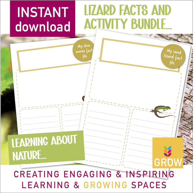 Lively Lizards Fact Sheet Activity Pack | Nature Wildlife Learning ...
