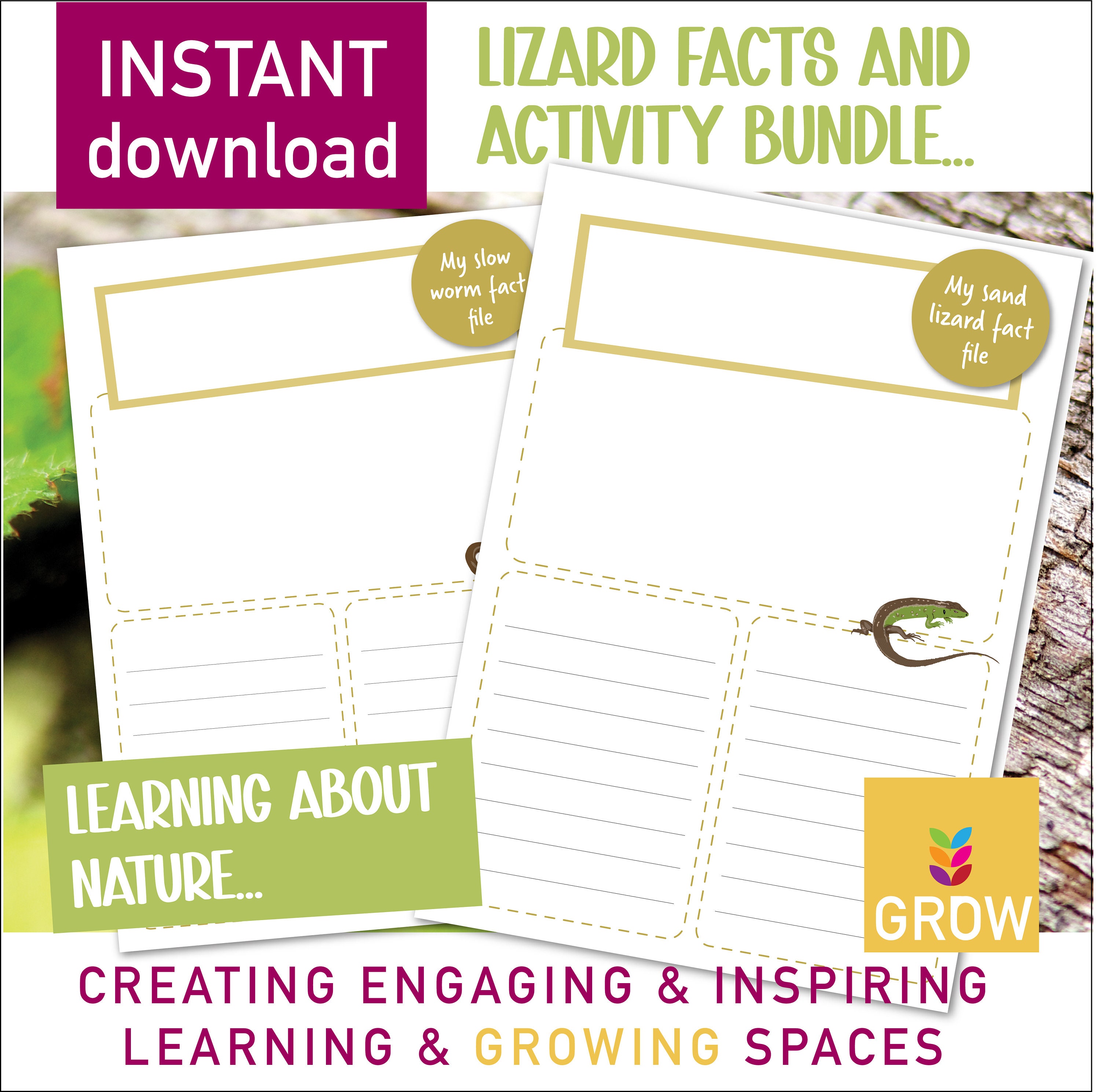 Lively Lizards Fact Sheet Activity Pack | Nature Wildlife Learning ...