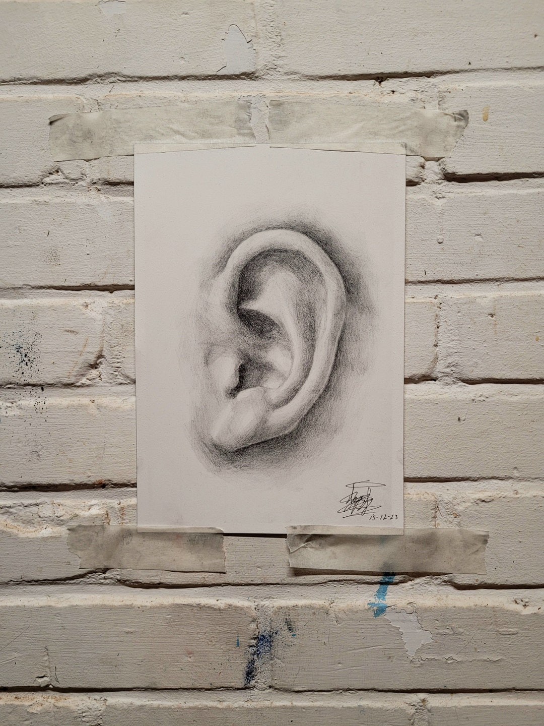 Ear Study in Graphite on Paper by Appa - Etsy