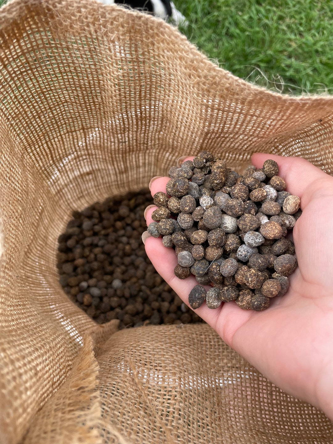 Organic Rabbit Manure - Etsy
