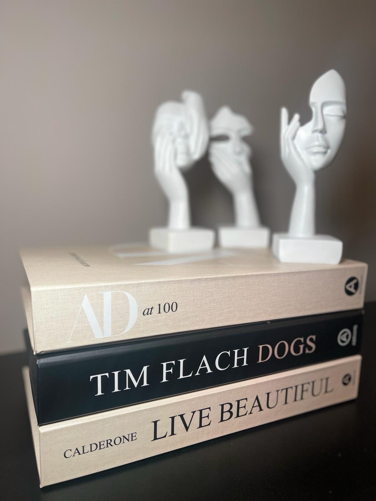 Decorative Openable Luxury Book Box, AD Architect Book Box, Coffee ...