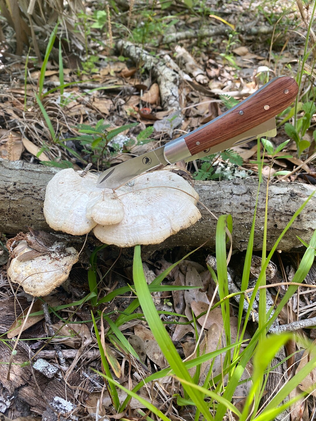 Eremos Forager's Knife - Etsy