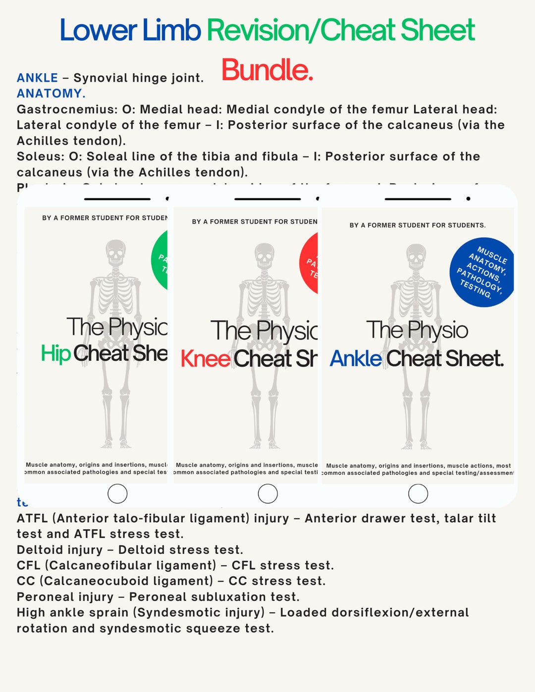 Ultimate Lower Limb Cheat Sheet MSK Bundle for Physiotherapy Physical Therapy Nursing. Free Gift ...