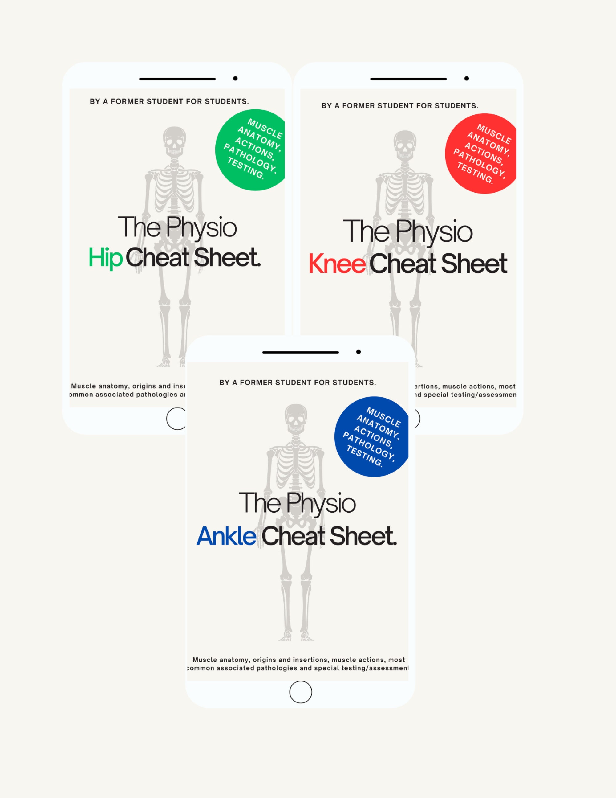 Ultimate Lower Limb Cheat Sheet MSK Bundle for Physiotherapy Physical Therapy Nursing. Free Gift ...