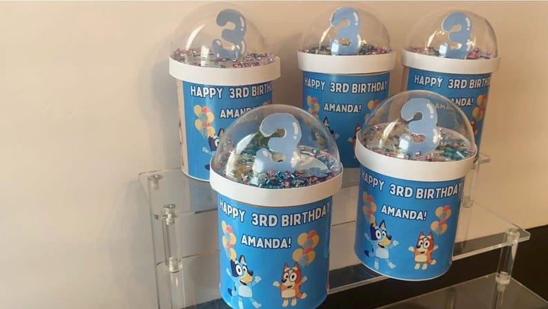 Custom Pringle Shakers Bluey(pink) - Etsy