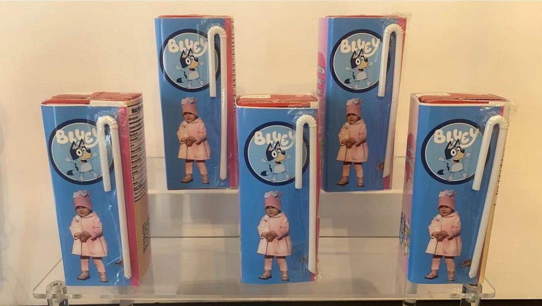 Customejuice Box Bluey - Etsy