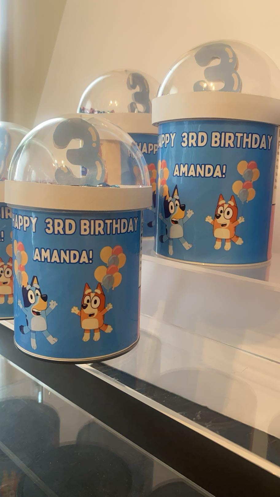 Custom Pringle Shakers Bluey(pink) - Etsy