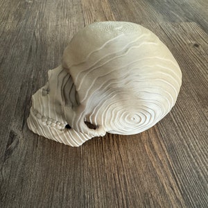 Wood Skull, Skull Model, 3D Printed Skull Model - Etsy