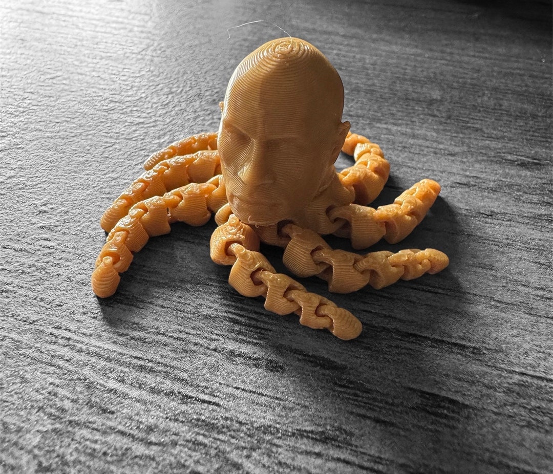 Rocktopus, the Rock Figdet Toy, 3D Printed Rock Flexi Toy - Etsy