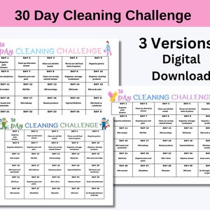 30 Day Cleaning Challenge - 30 Days to a Clean House - Take Actions to ...
