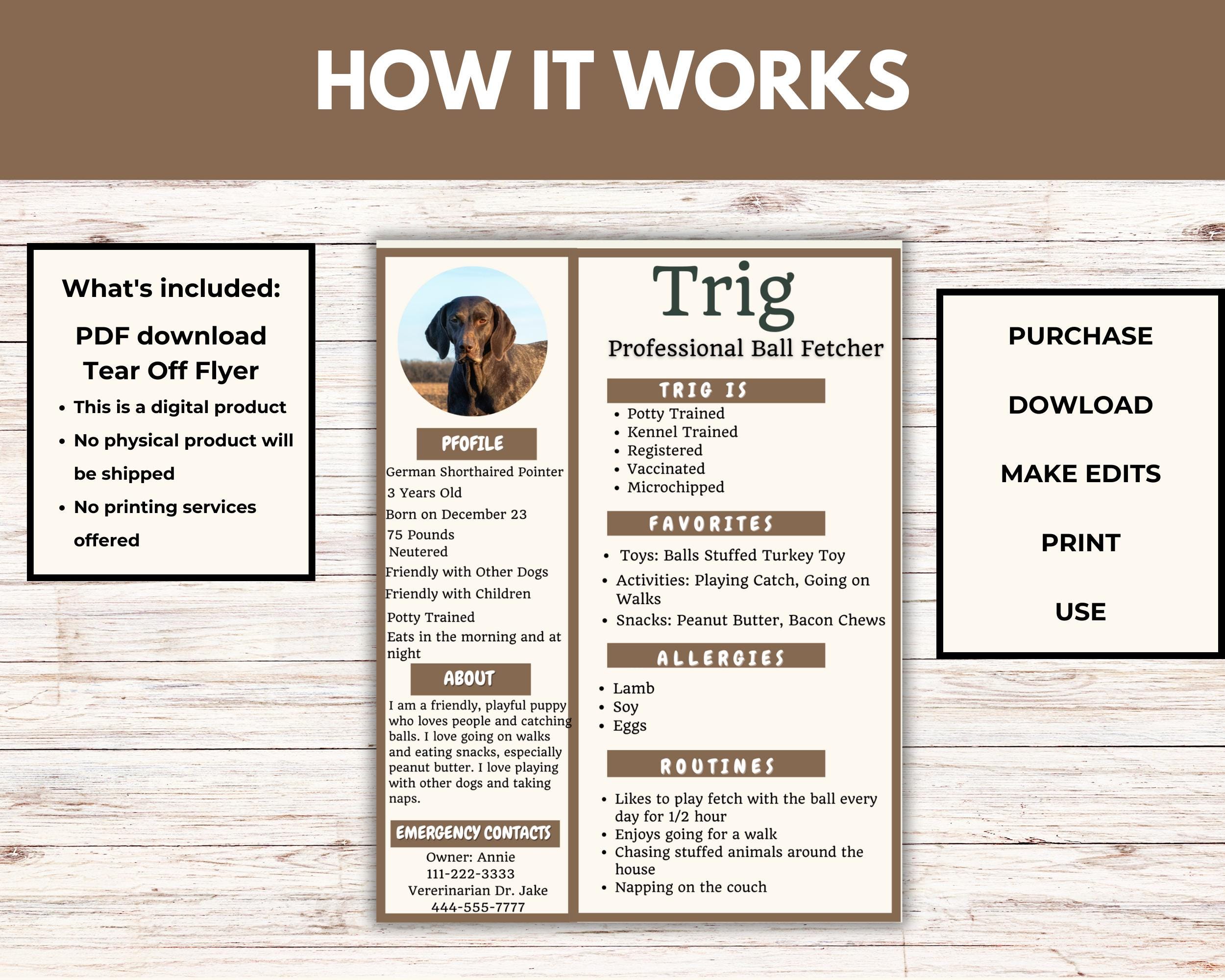 Customizable Pet Profile Canva Template: Dog Bio Resume (digital ...