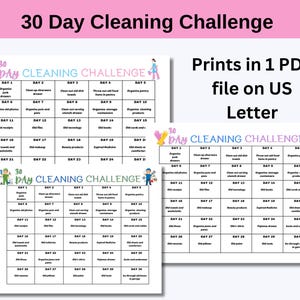 30 Day Cleaning Challenge - 30 Days to a Clean House - Take Actions to ...