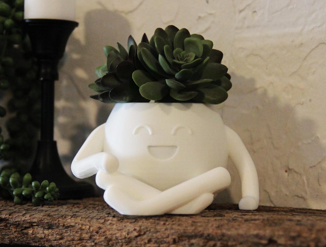 Succulent Planter Character Cute Plant Pot for Desk Decor Funny Face ...