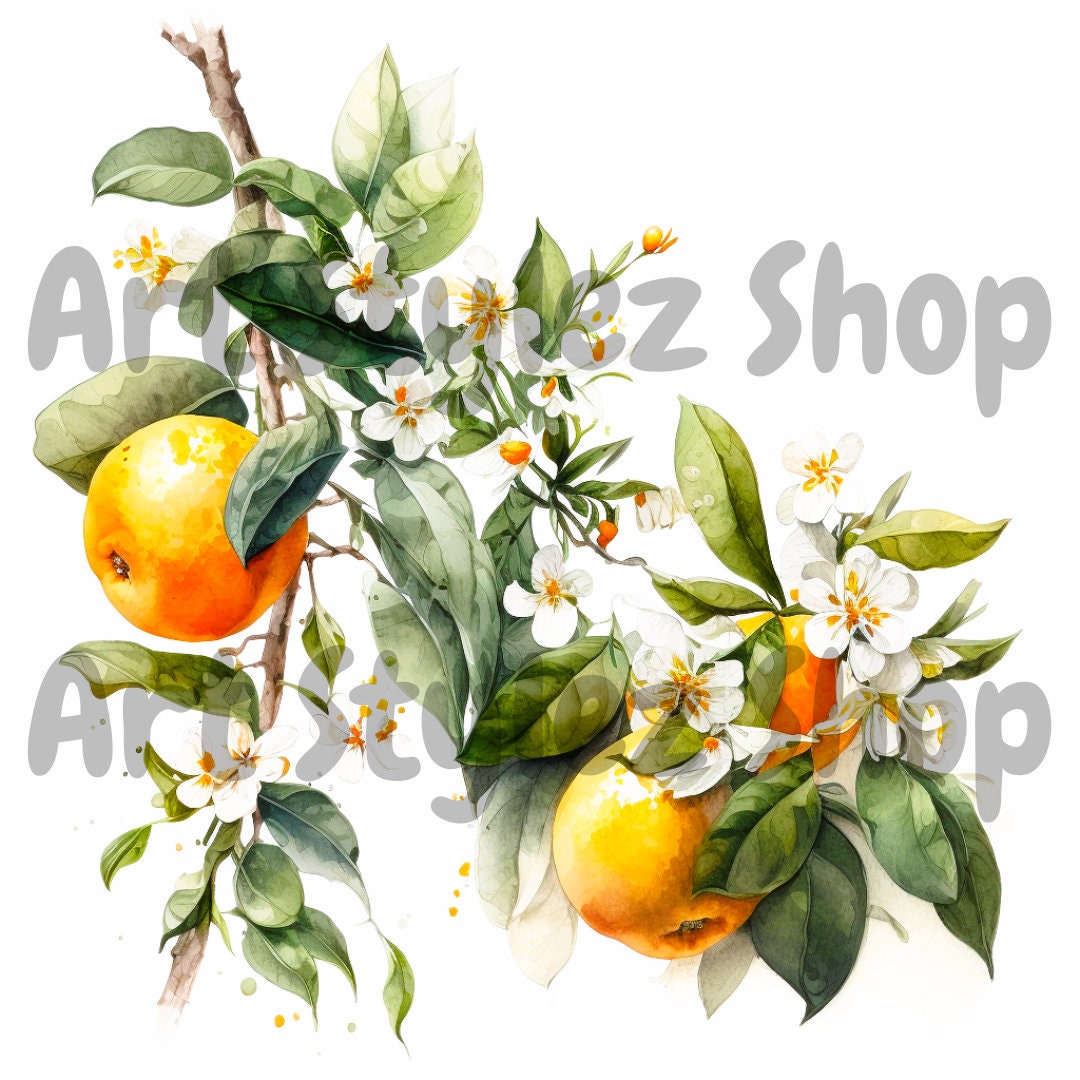 Watercolor Orange Clipart – Floral Wreath, Twigs, Flowers (digital ...