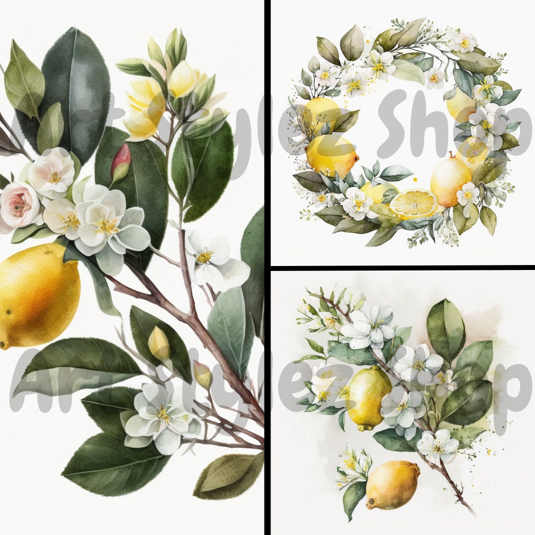20 High Quality - Lemon Clipart - Watercolor Lemons PNG - Lemon Twig ...