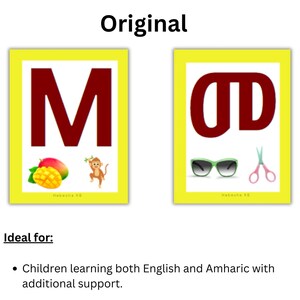 Abcs Meet ሀሁ | Bilingual Alphabet Flashcards | Amharic and English ...