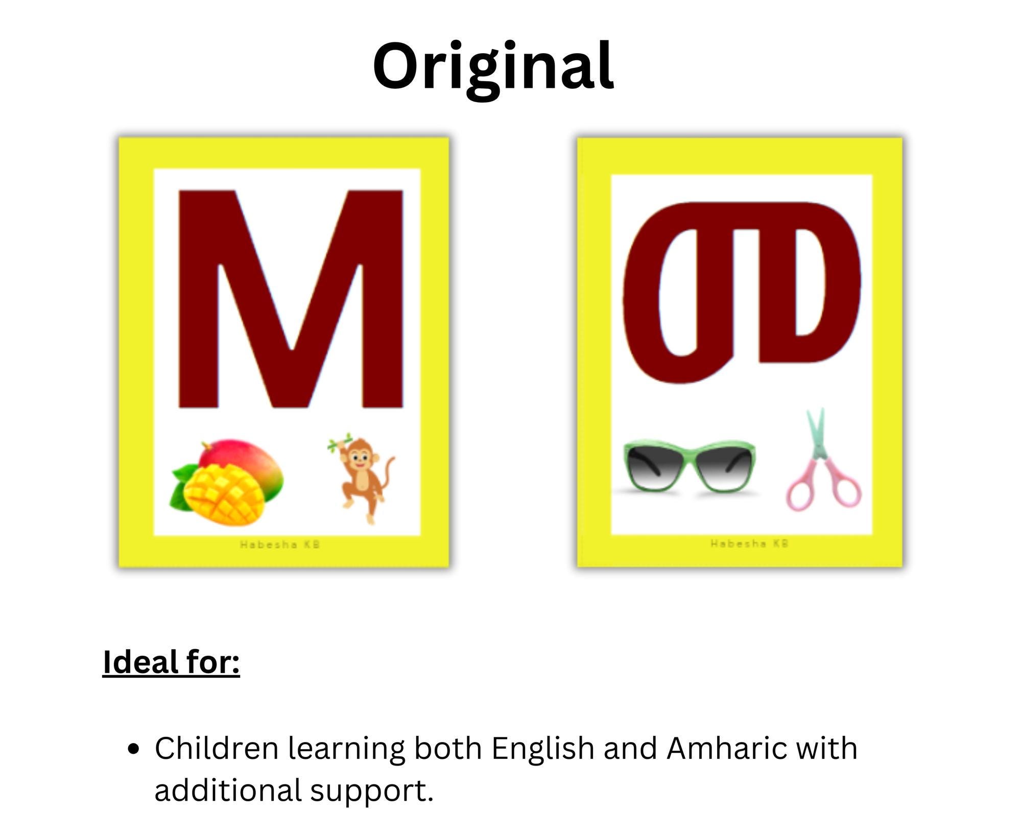 Abcs Meet ሀሁ | Bilingual Alphabet Flashcards | Amharic and English ...