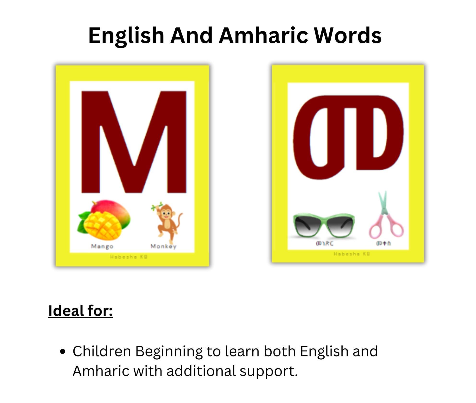 Amharic & English Alphabet Flashcards: Bilingual Learning, 26 Cards - Etsy