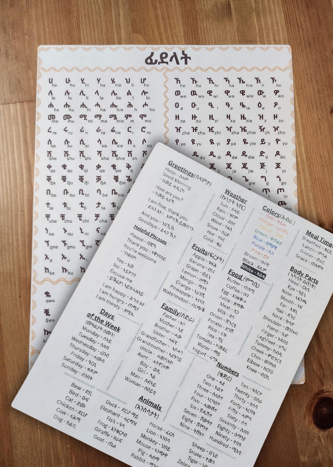 Tigrinya Alphabet Chart: Fidelat Learning With Common Words - Etsy