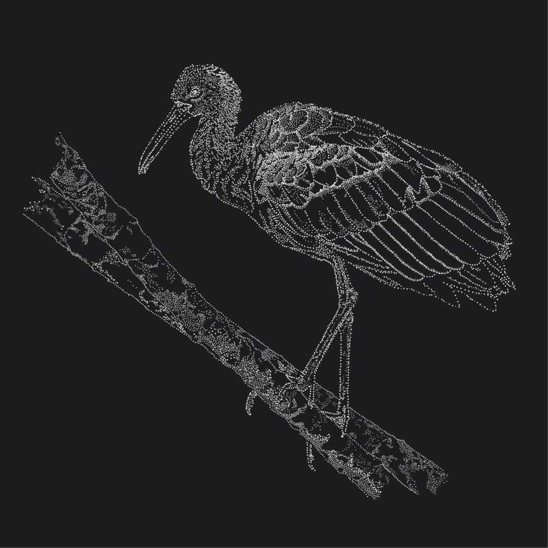 Limpkin Drawing Digital Pointillism - Etsy