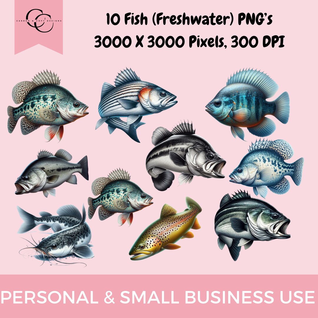 Freshwater Fish PNG Bundle: Bass, Trout, Catfish Clipart (digital ...