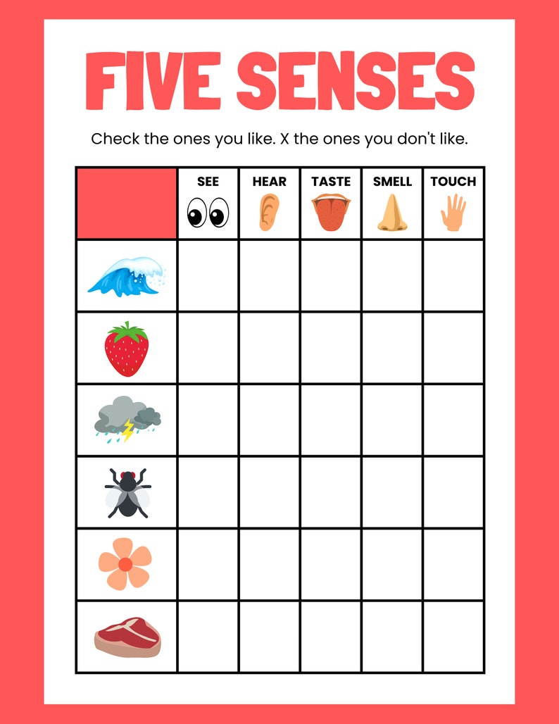 5 Senses Worksheet - Etsy