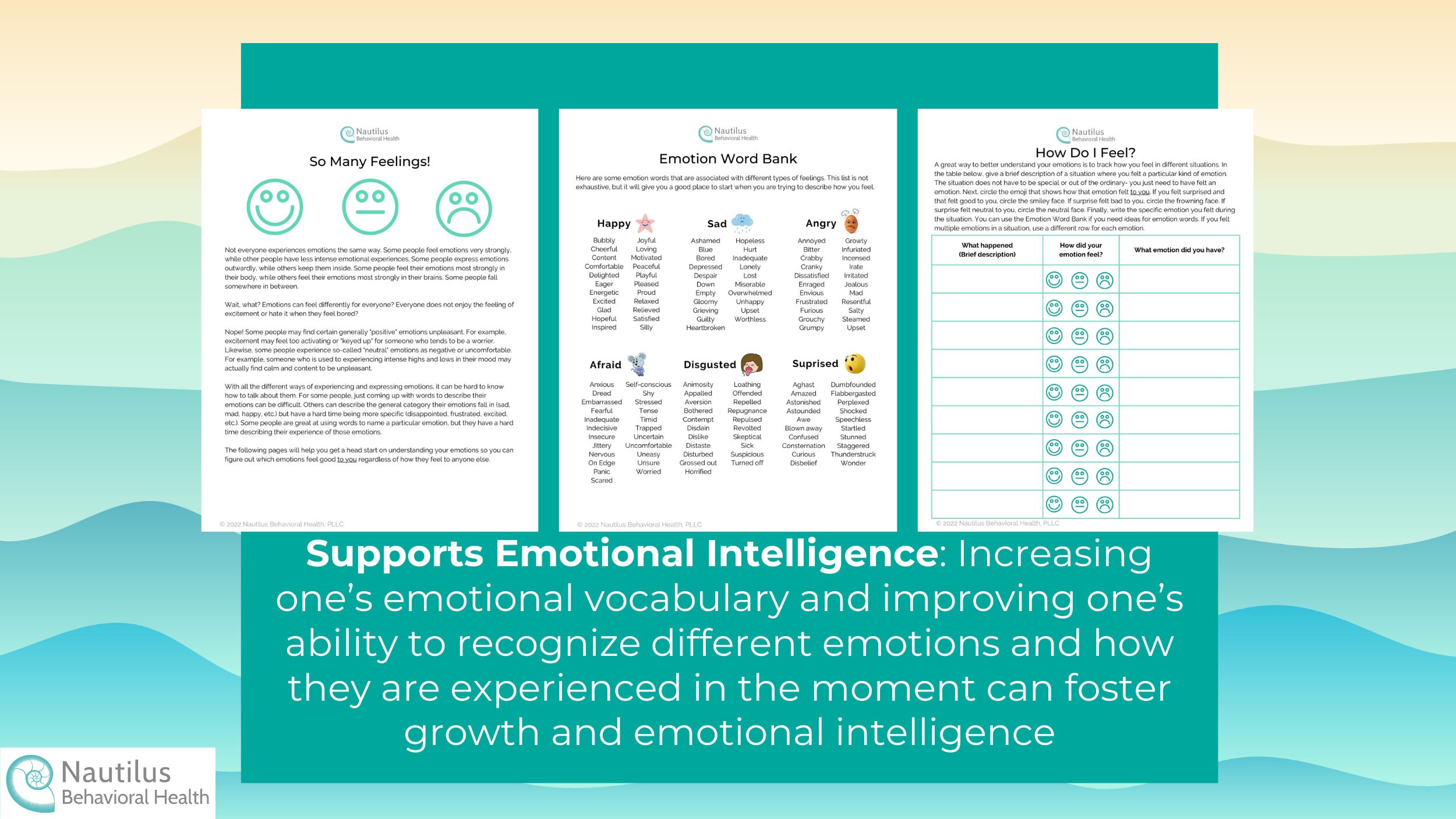Emotion Log Worksheets - Etsy
