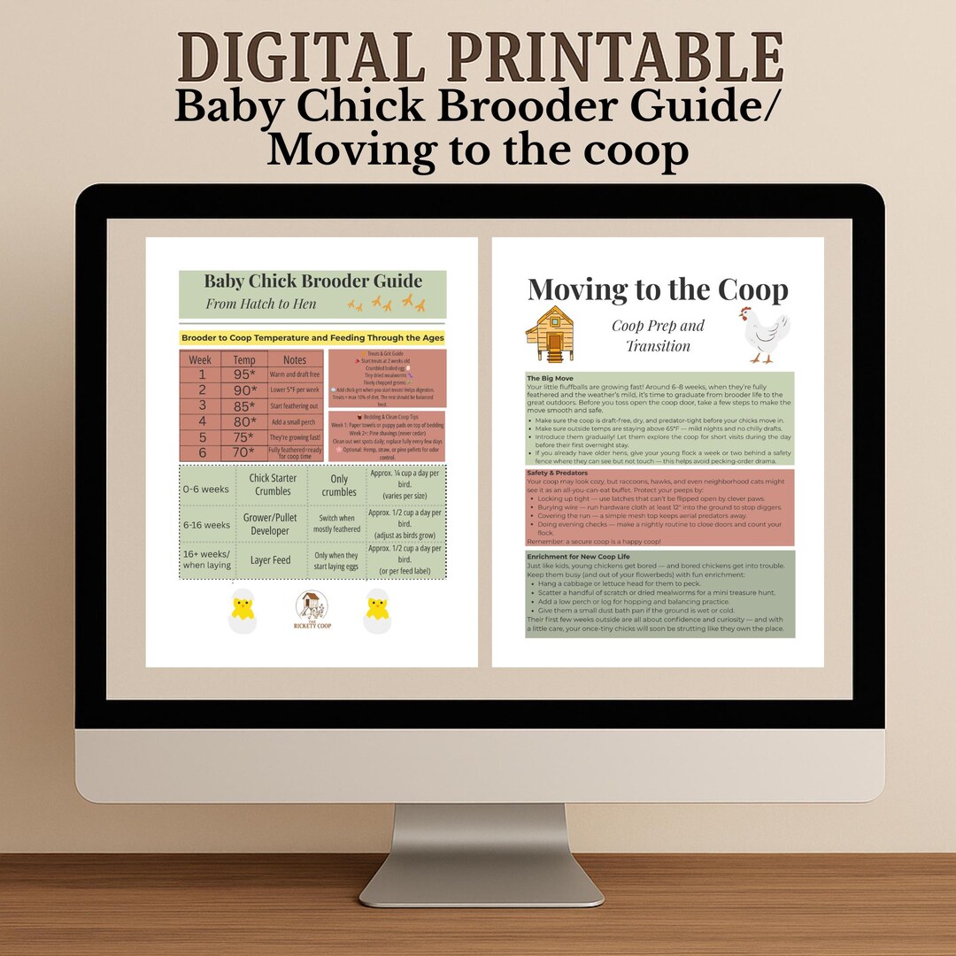 Baby Chick Brooder Guide & Moving to the Coop | Double-sided Printable ...
