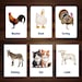 30 Farm Animals Flash Cards | Printable Educational Cards for Kids ...