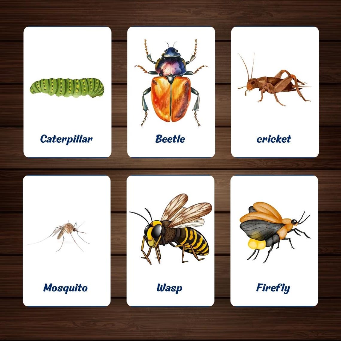 30 Insects Flashcards, Montessori Flashcards, Homeschool Activities ...