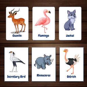 25 Safari Animals Flash Cards | Printable Educational Cards for Kids ...