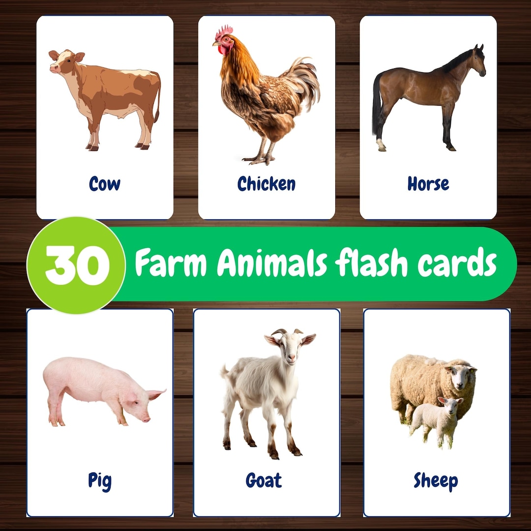 30 Farm Animals Flash Cards | Printable Educational Cards for Kids ...