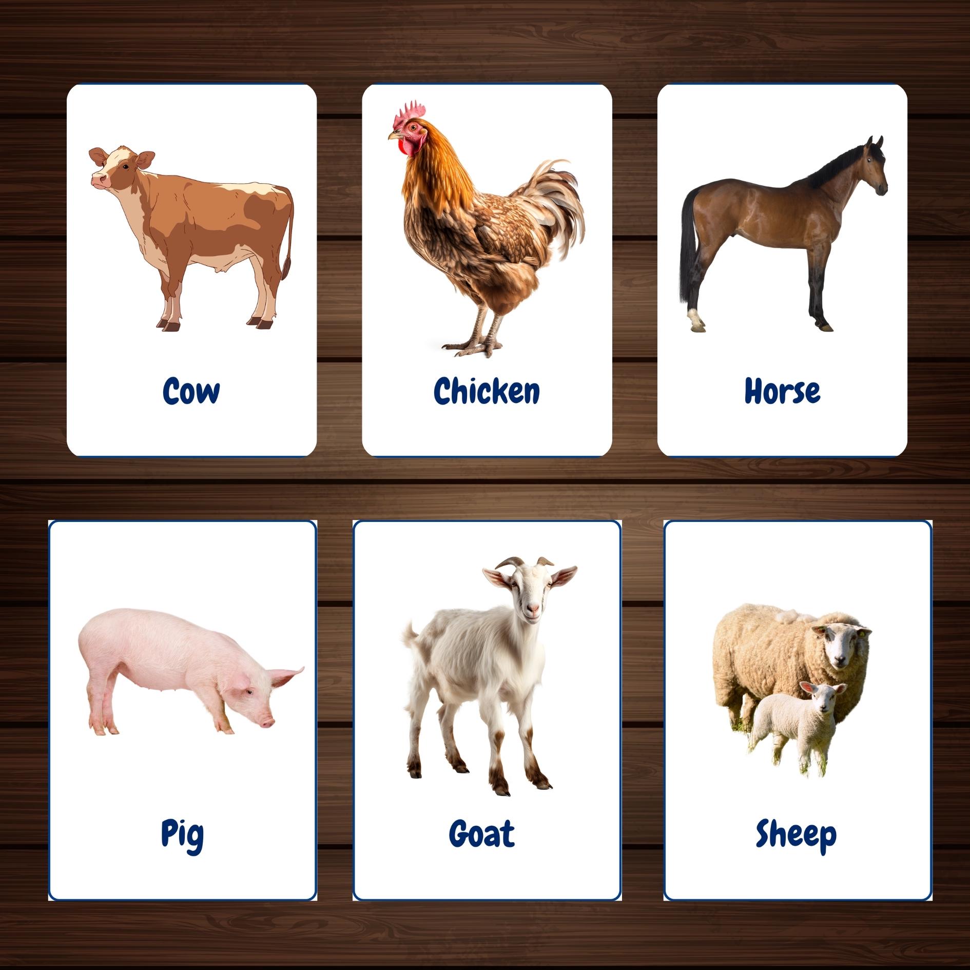 30 Farm Animals Flash Cards | Printable Educational Cards for Kids ...
