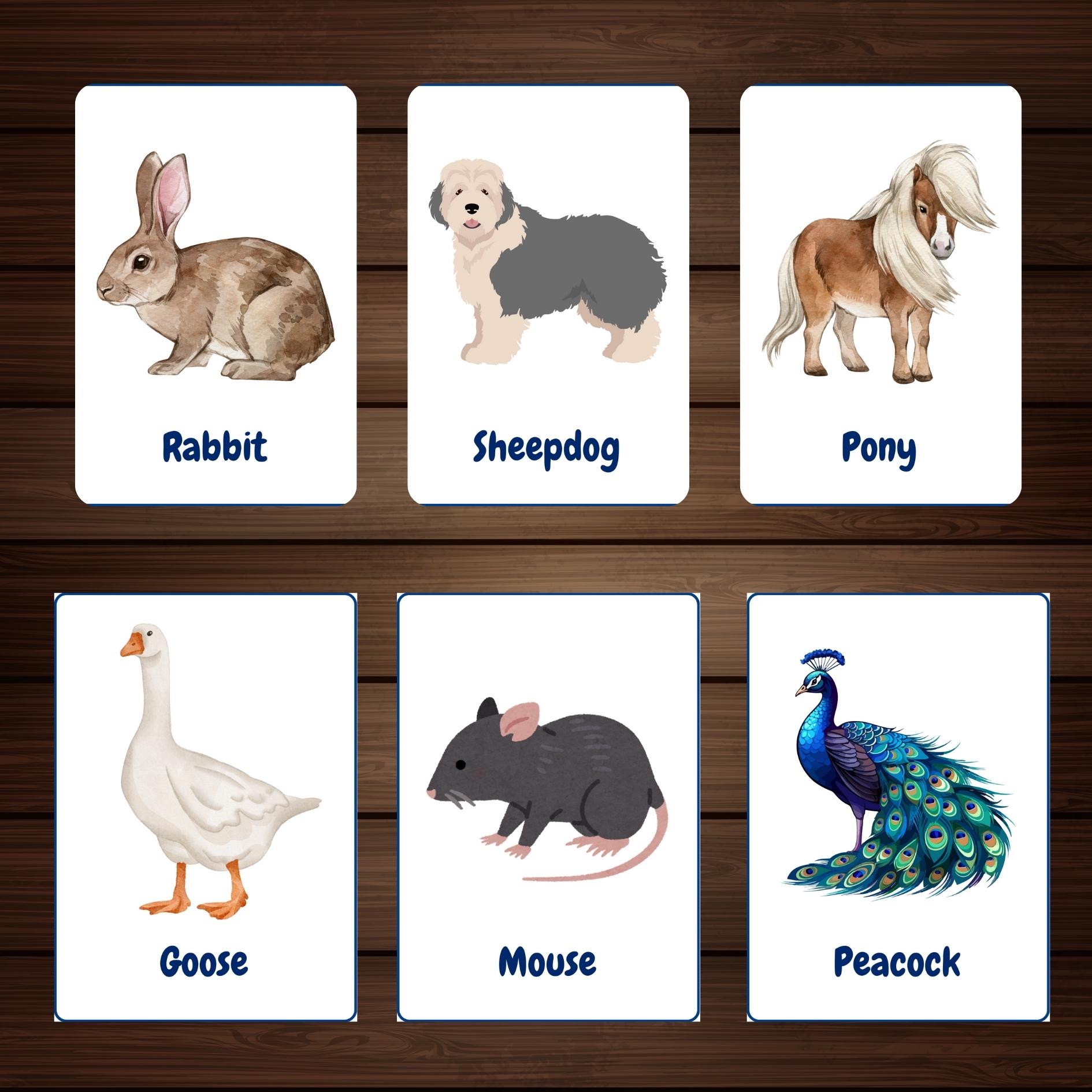30 Farm Animals Flash Cards | Printable Educational Cards for Kids ...