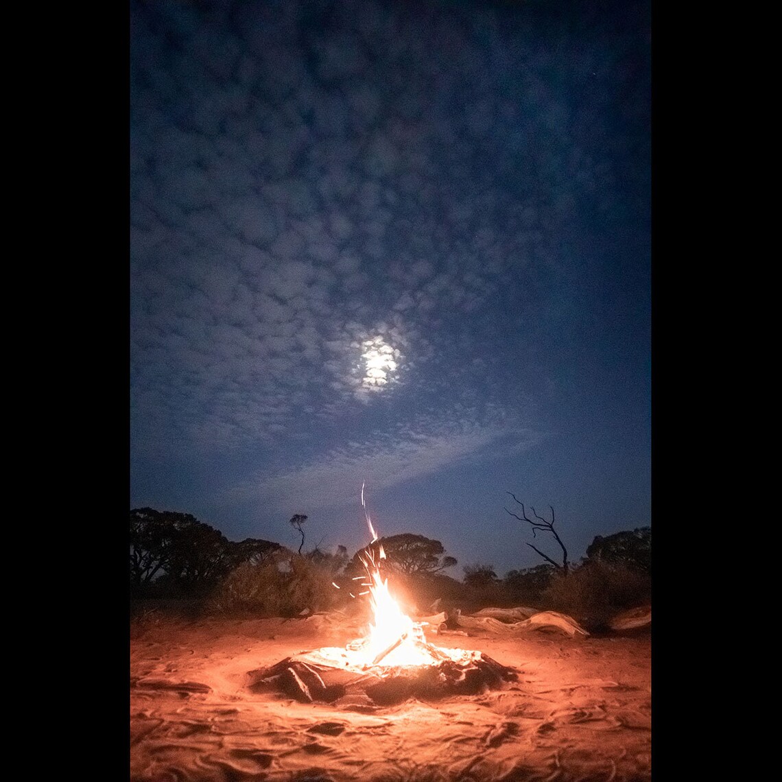 Campfire in Moonlight Photo, Digital Print of a Campfire Under the ...