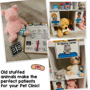 Dramatic Play Vet Printables - Pretend Play Pet Clinic for Preschool ...