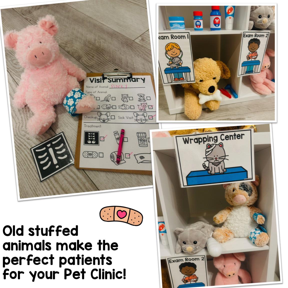 Dramatic Play Vet Printables - Pretend Play Pet Clinic for Preschool ...