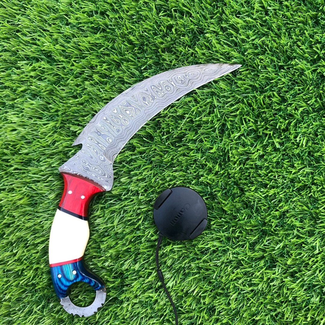 10 Inches Karambit Knife With Bone and Colored Wood Handle Damascus ...