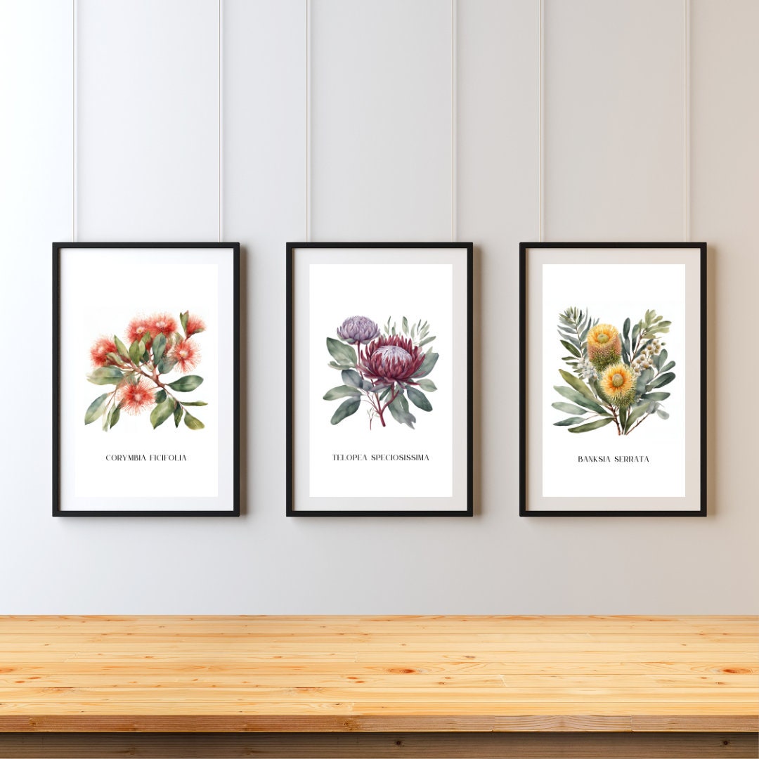 Set of 3 Australian Native Flowers Wall Art | Floral Art | Botanical ...