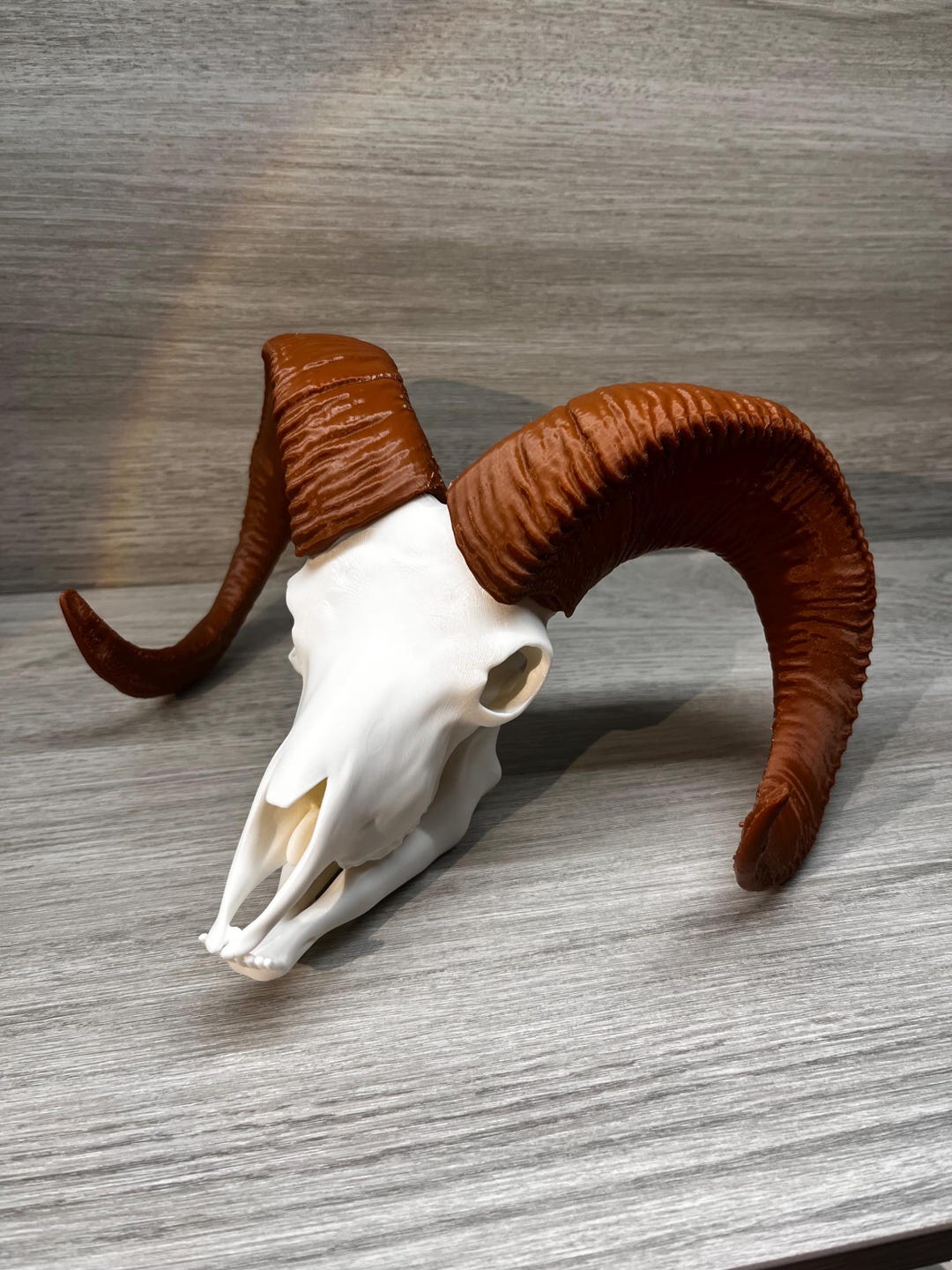 10 Inch 3D Printed Bighorn Sheep Skull (3D Printed PLA Plastic) - Etsy