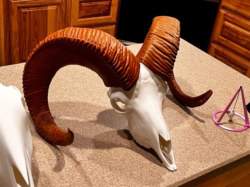 3D Printed Bighorn Sheep Skull Replica: Gothic Altar Decor - Etsy
