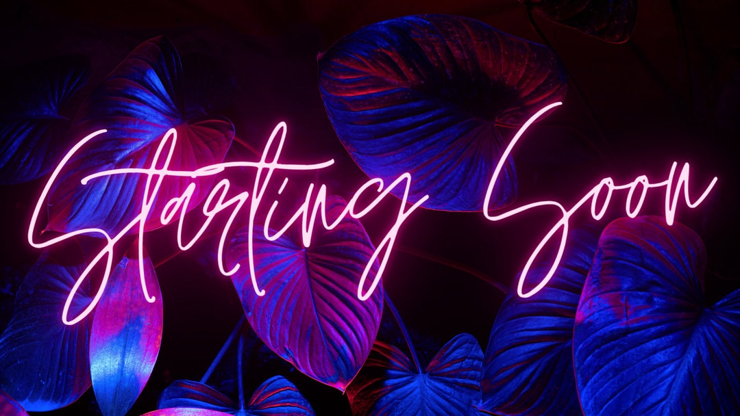 4 Animated Twitch Scenes Neon, Pink, Blue, Bright Twitch, Youtube, Kick ...