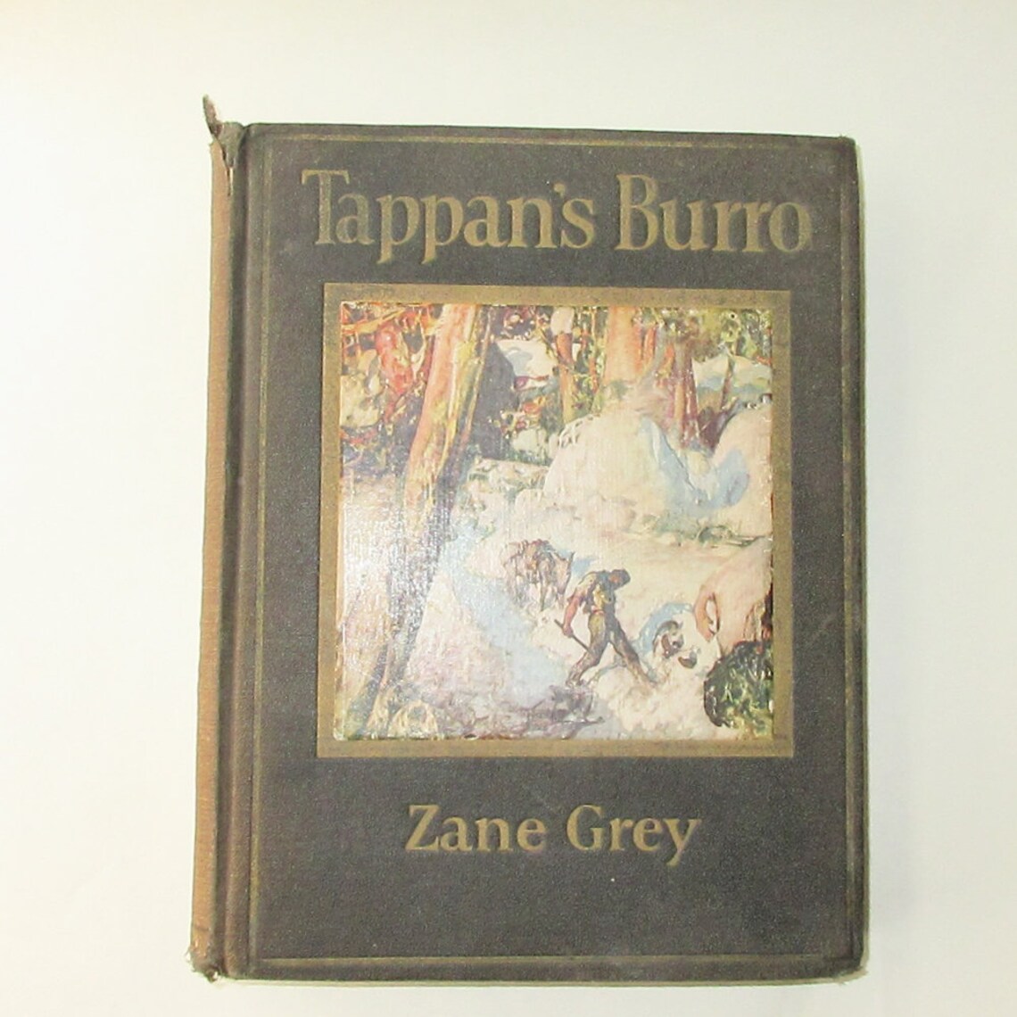 Zane Grey First Edition 1st Edition Tappan's Burro 1923 | Etsy