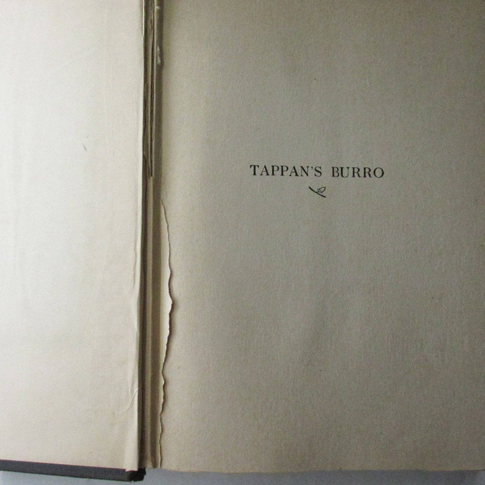 Zane Grey First Edition 1st Edition Tappan's Burro 1923 | Etsy
