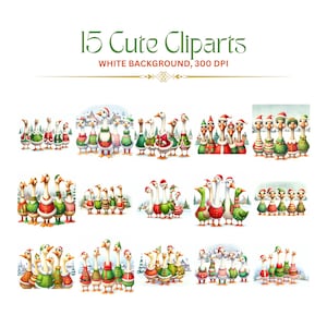 Quirky Christmas GEESE Clipart PNG 15 Cute Whimsical Winter Goose Junk ...