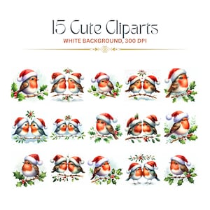 Christmas ROBINS Clipart PNG 15 Cute Whimsical Winter Robin Holiday ...